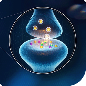 How does the brain learn?