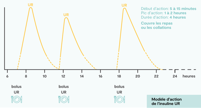 Le diabète chez les jeunes